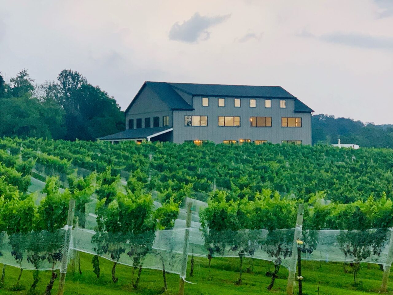 Three Fox Vineyards and Brewery | Visit Fauquier County, VA