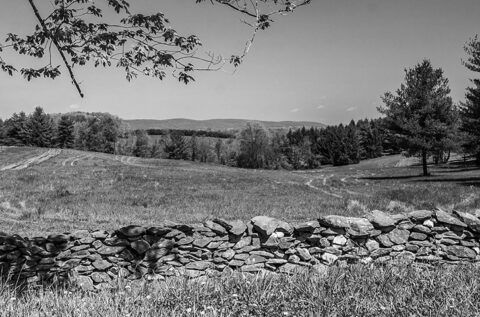 Battle of Unison | Visit Fauquier County, VA